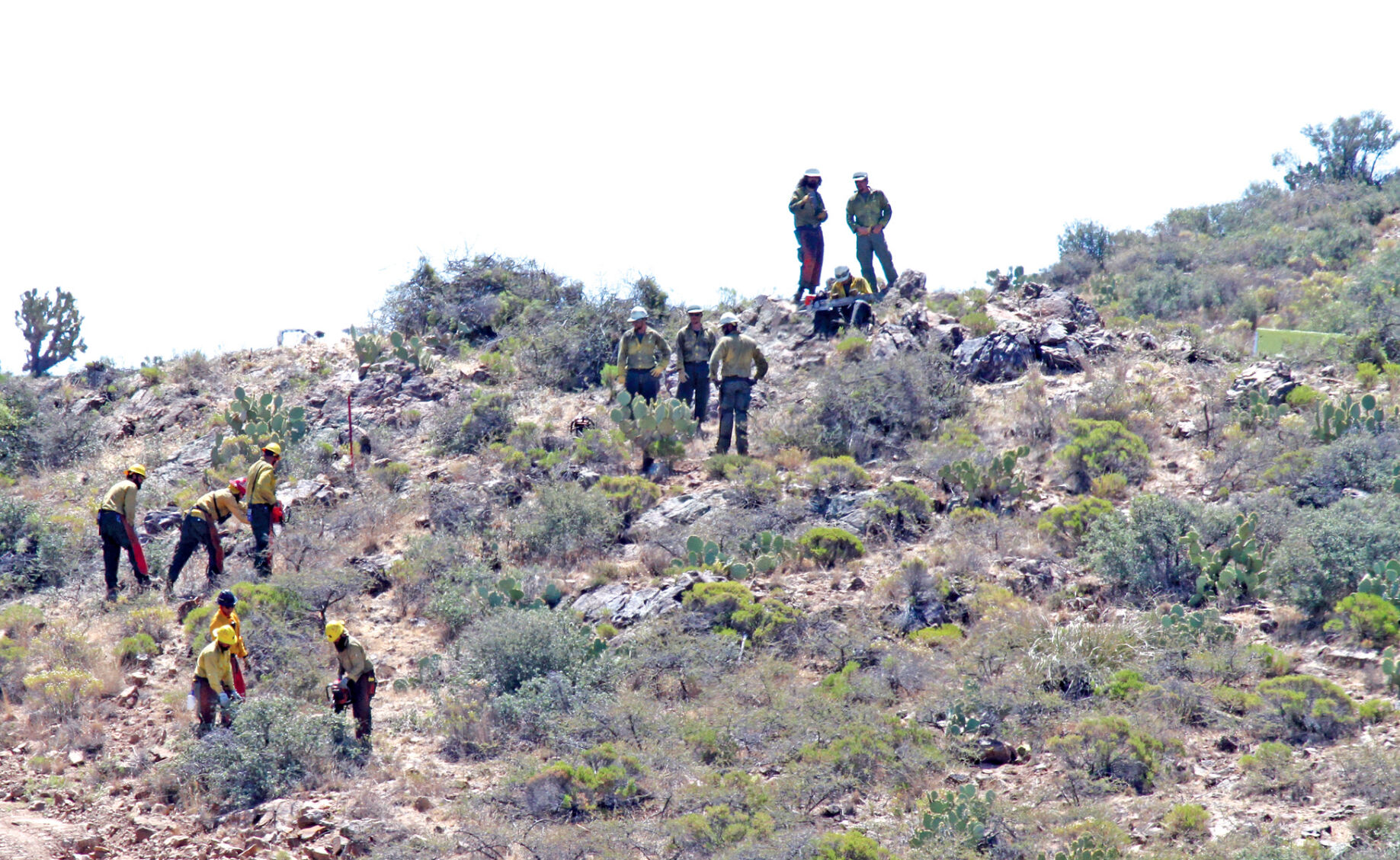 Yarnell fire cost: Over $4M | News | dcourier.com
