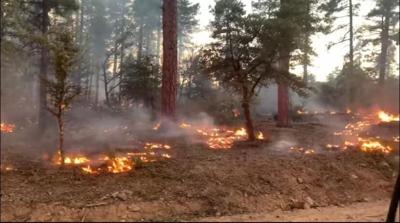 Sheridan Fire exceeds 11,000 acres | News | dcourier.com