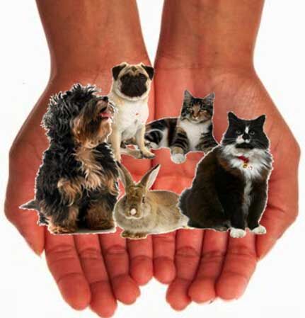 Animals Have Purpose... | Opinion | dcourier.com