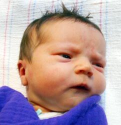 Birth: Hailey Elizabeth Baxter | Life | dcourier.com