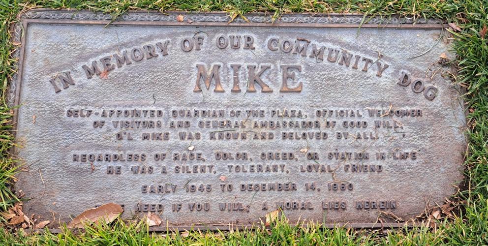 Days Past: The story of man and dog | Features | dcourier.com