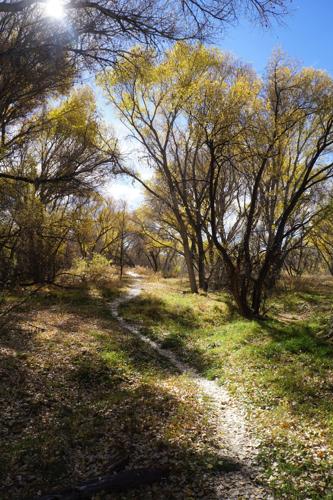 Many Prescott options available for a fall-colors Thanksgiving hike ...