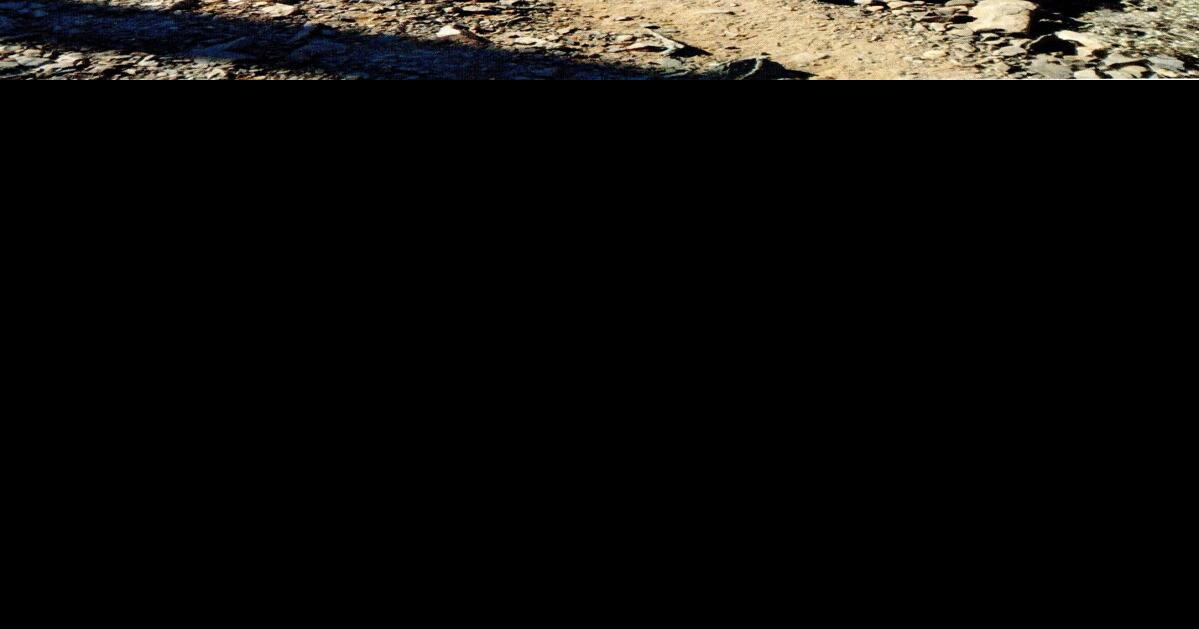Hiking Arizona: Alien hiker spotted on Maricopa Trail, Grinch suspected ...