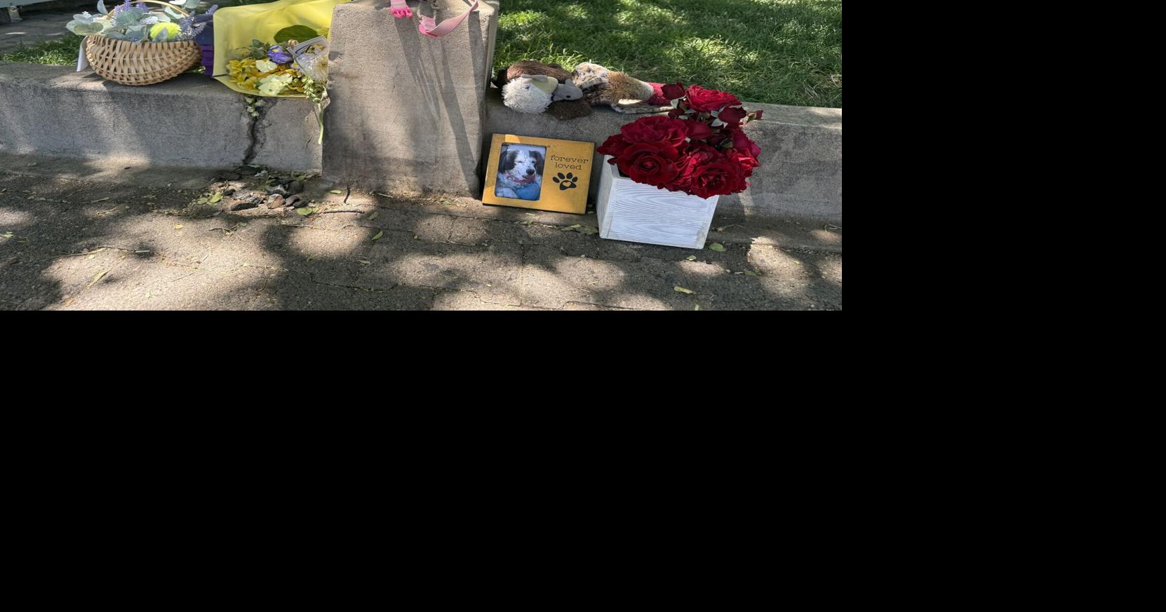 Prescott man, community create makeshift memorial for beloved dog on ...