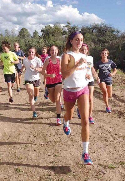 Fall 2014: Embry-Riddle cross country teams aiming higher in 2nd season ...