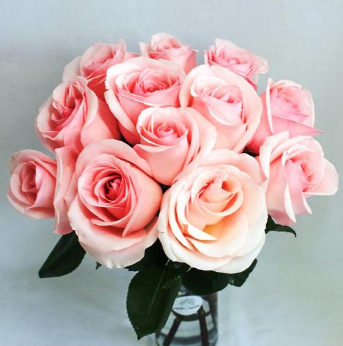 Watters-Lain: Roses best in show for 2021 | Features | dcourier.com