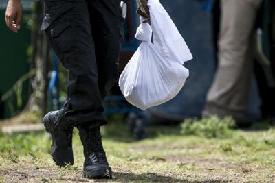 Texas animal control seizes hundreds of snakes, rodents | Odd ...