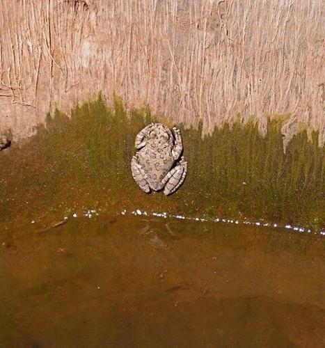 Amazing Places: Devil’s Kitchen and Seven Sacred Pools | Features ...