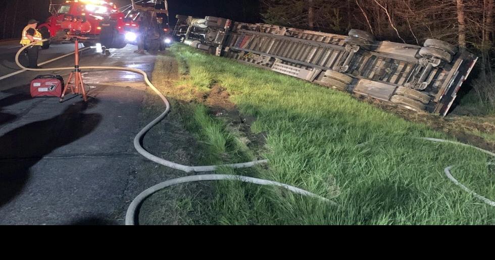 Most of 15 million bees contained after bee-laden truck crashes | Odd ...