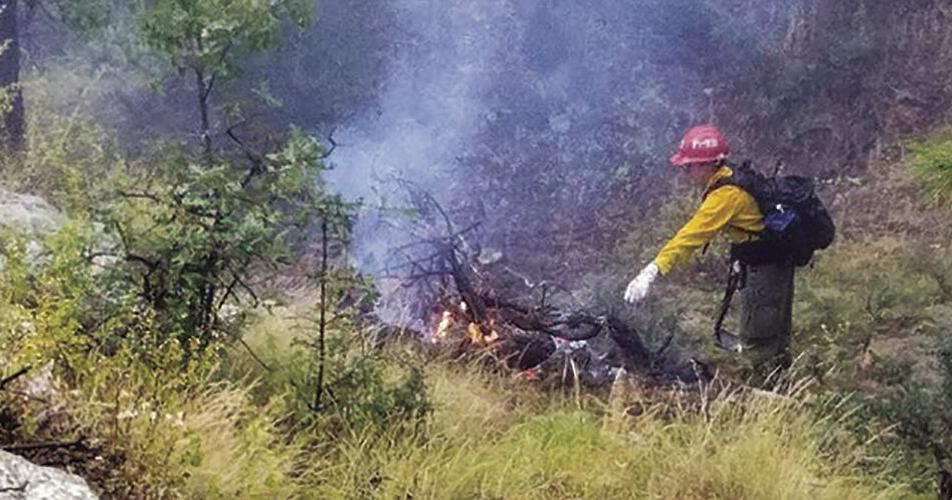 Forest firefighters halt 3-acre fire in Doce Pit area west of Prescott ...