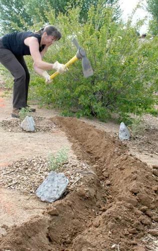 Photo Gallery: Creating a habitat for GES | Photo Galleries | dcourier.com