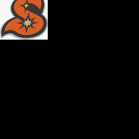 Sundogs to introduce new owners at press conference | Sports | dcourier.com