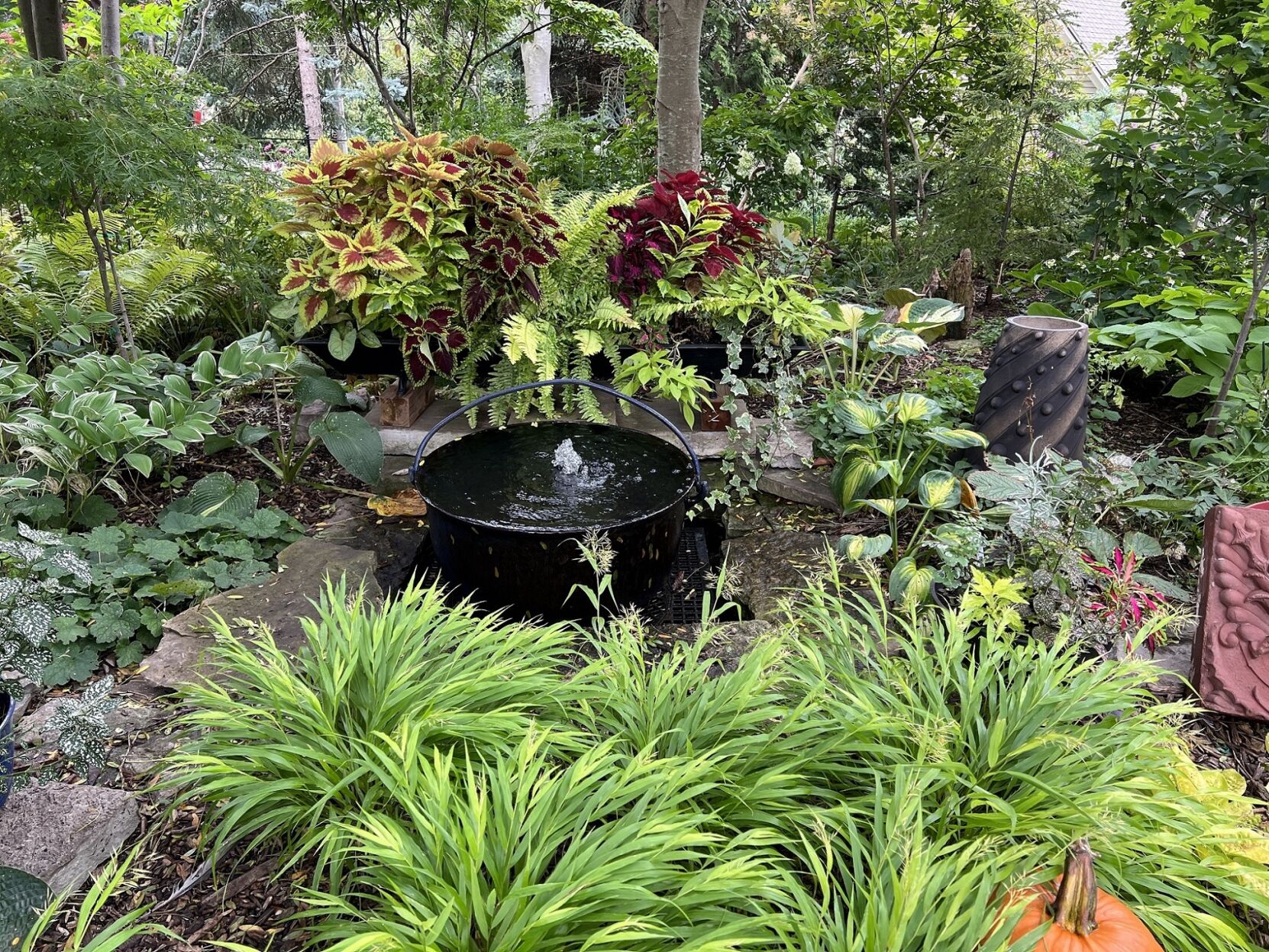 Myers: Creating and Caring for Shade Gardens | Features | dcourier.com