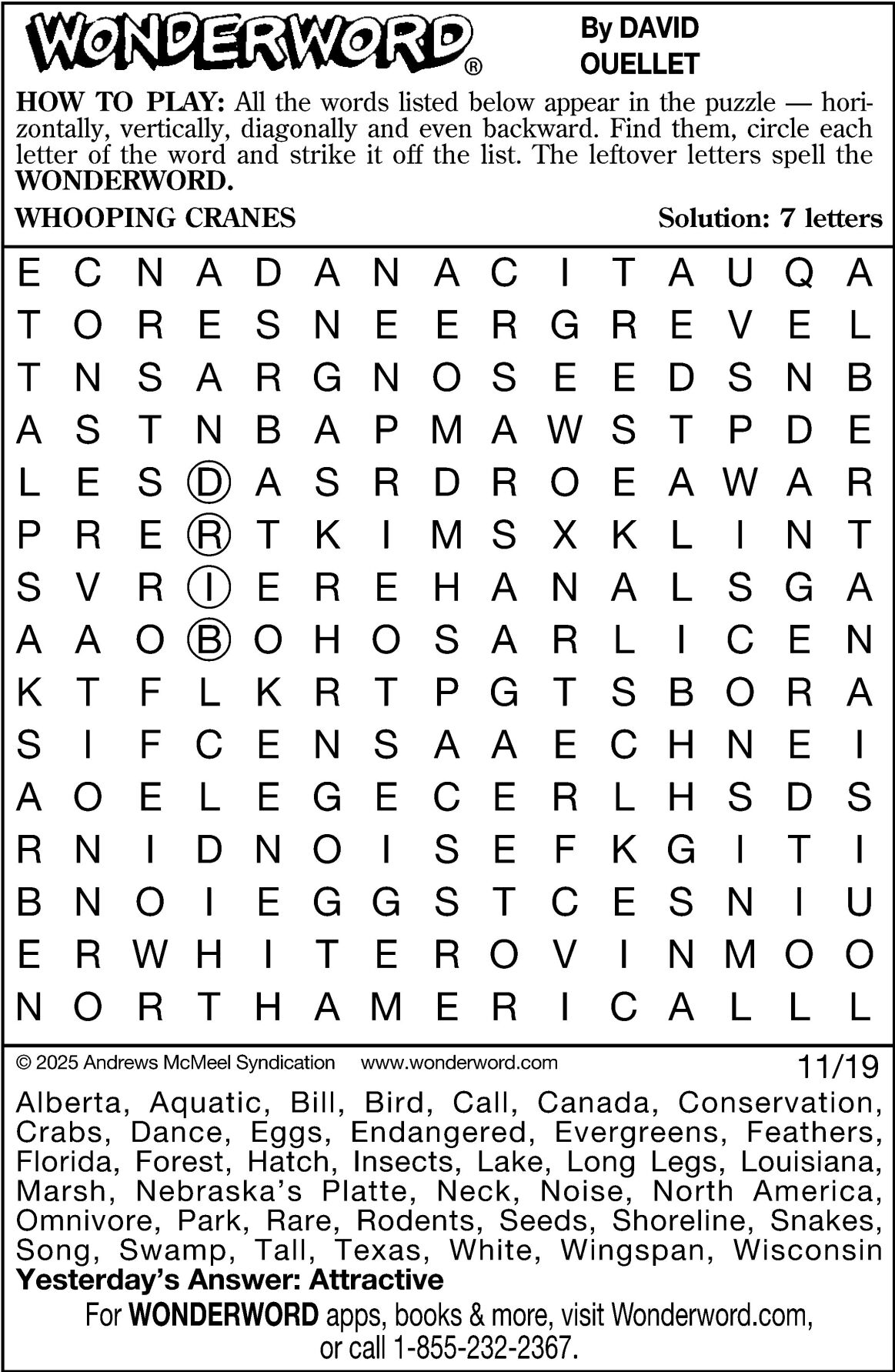 Wonderword puzzles for Week of Nov. 16, 2025 | Multimedia | dcourier.com