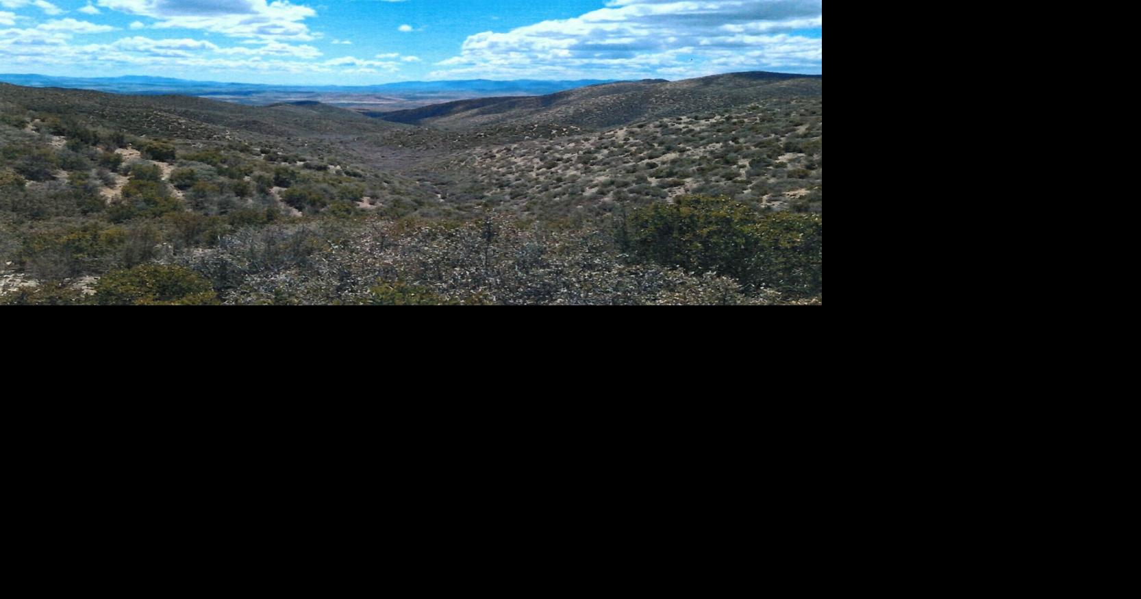Hike Arizona – Chaparral Hike-Ride West of Cherry | Sports | dcourier.com