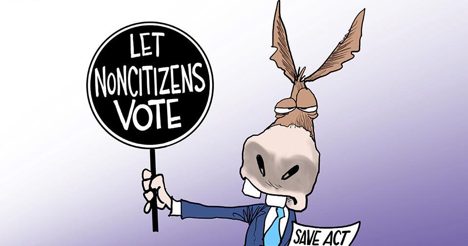 Editorial cartoon (1): April 13, 2025 | Editorial Cartoons | dcourier.com