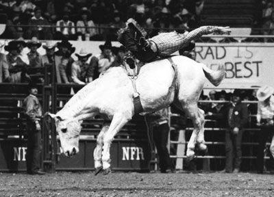 In December 1981, a Prescott cowboy became world champion | Sports ...