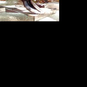 Kinetic Sculpture Race trophies are fun pieces of art | Features ...