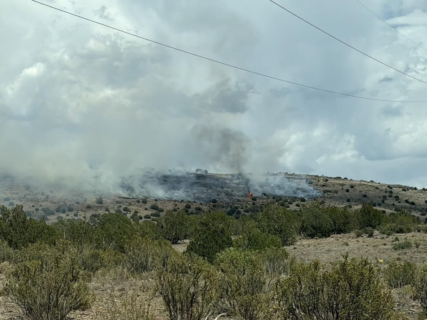 Buck Fire near Seligman reaches 90% containment | Fires | dcourier.com