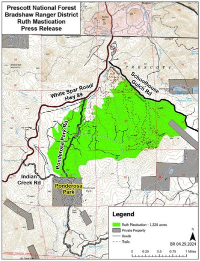 Ruth Fire Mastication Project on the Prescott National Forest to begin ...