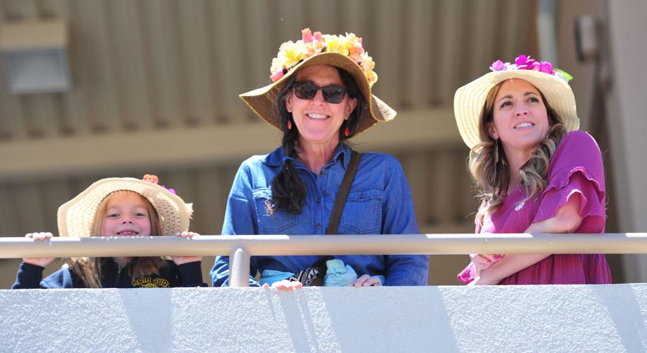 Horse racing returns to Arizona Downs | News | dcourier.com