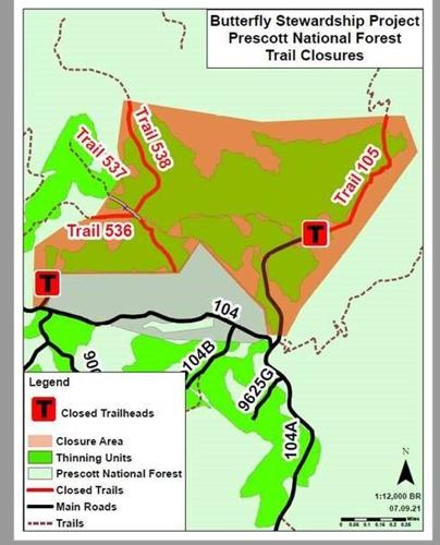 Portions of trails on Mingus Mountain to be closed due to thinning ...