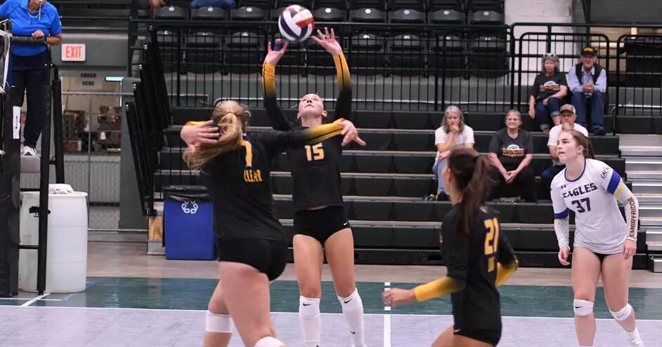 Embry-Riddle Eagles sweep Warriors | Sports | dcourier.com