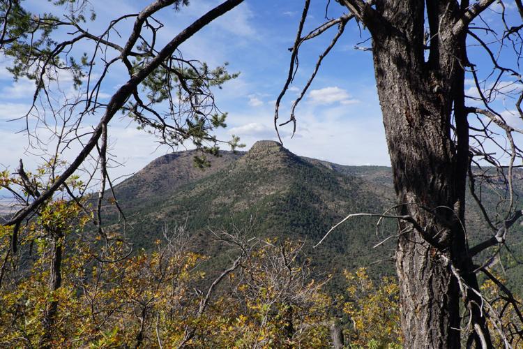 Yeager Canyon hike shows off two sides of the mountain | Archives ...