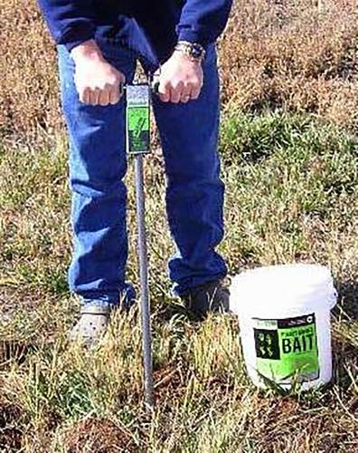 Garden Alert: Pocket gophers at destructive levels this spring ...