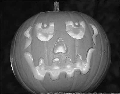 Halloween highlights at a glance | Features | dcourier.com