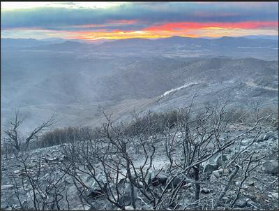 UPDATE: Hackberry Fire 50% contained | News | dcourier.com