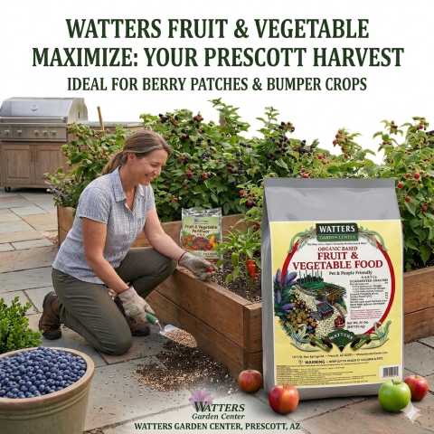 The Mountain Gardener: Berry best practices - growing black ...