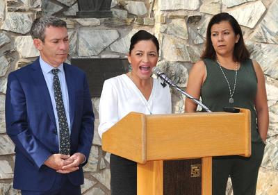 Law allowing vacation rentals results in ‘neighborhood hotels’ | News ...