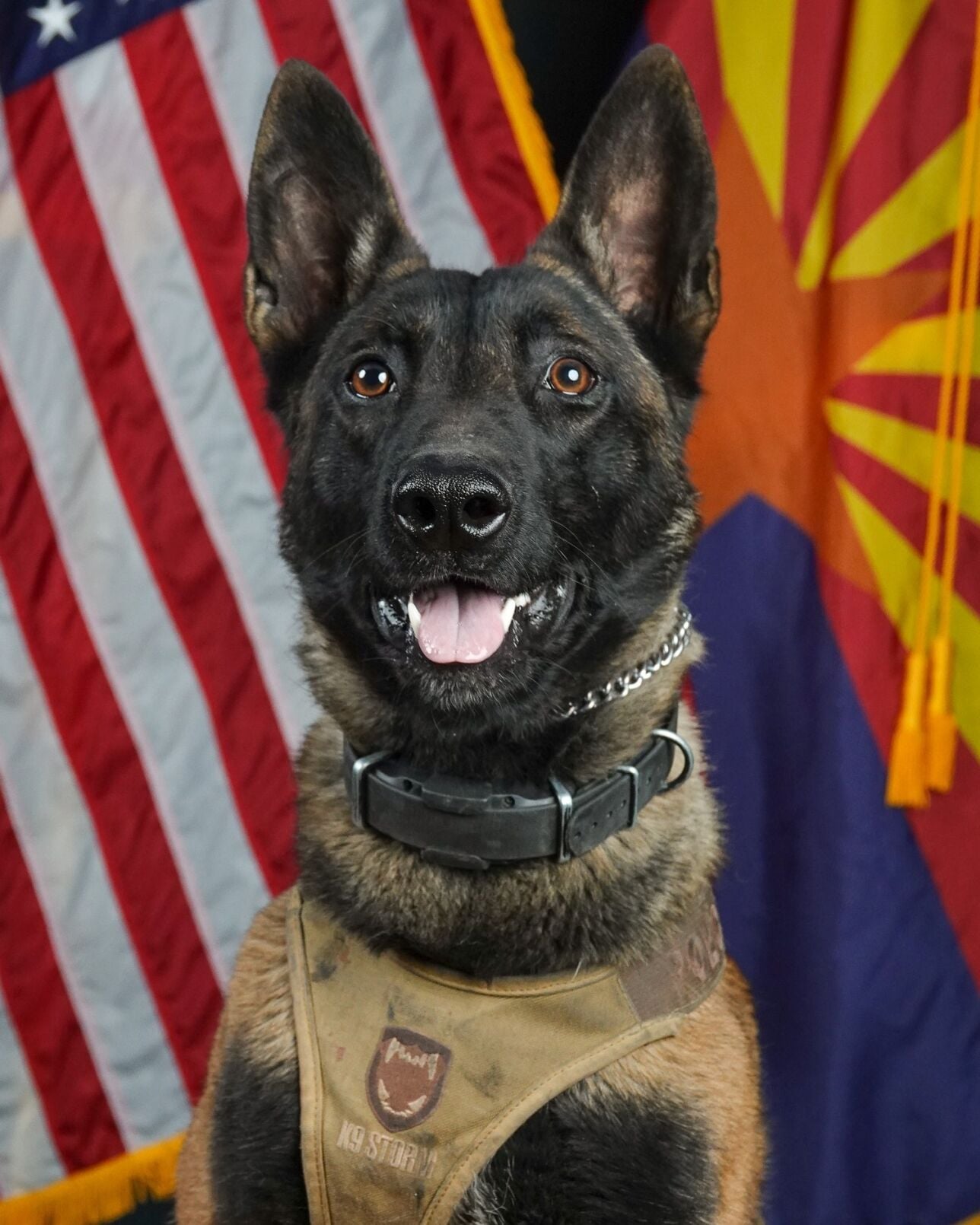 Memorial service for K-9 Mac scheduled June 3 | News | dcourier.com