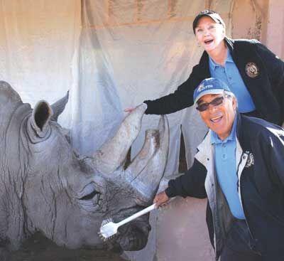 Out of Africa to honor popular rhino 'Boom Boom' | Features | dcourier.com