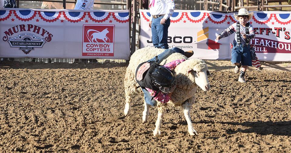 Picture This: Mutton busting at the rodeo! | News | dcourier.com