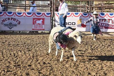 Picture This: Mutton busting at the rodeo! | News | dcourier.com