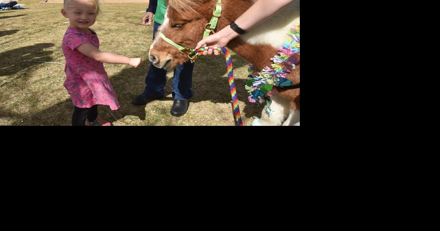 Marvelous Minis bring smiles to Memory Park | News | dcourier.com