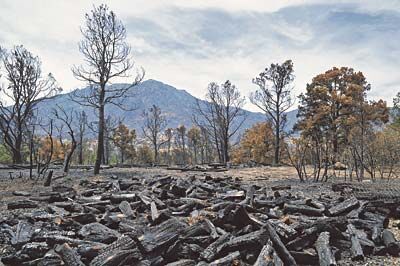 'Be Prepared' - more than Scout motto - is good advice for all | News ...