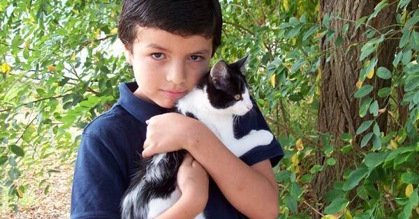 Mild-mannered boy needs male influence | News | dcourier.com