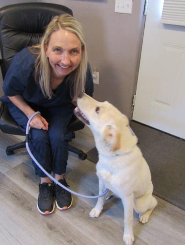 Unsung Hero: Deborah Korell speaks for dogs, cats | News | dcourier.com