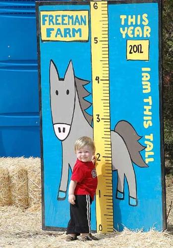 Photo Gallery: 6th Annual Freeman Farms Pumpkin Festival | Photo ...