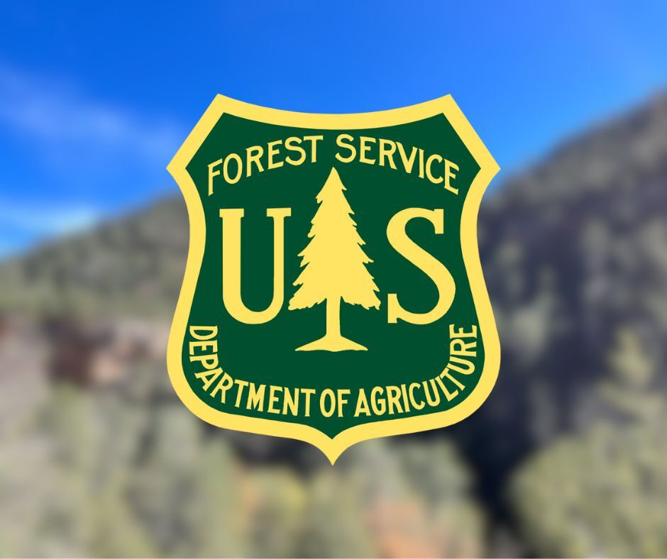 Prescott National Forest Lifts Bald Eagle Closures at Lynx Lake and ...