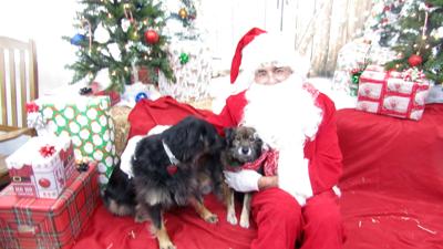 Santa Paws event draws pets of all kinds, even ‘Serious’ | Chino Valley ...