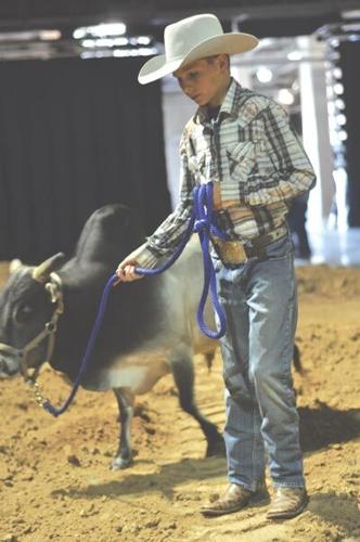 Miniature riders top miniature bulls, sheep Friday in PV | Sports ...