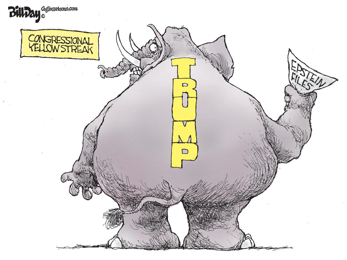 Editorial cartoon (2): Nov. 13, 2025 | Opinion | dcourier.com