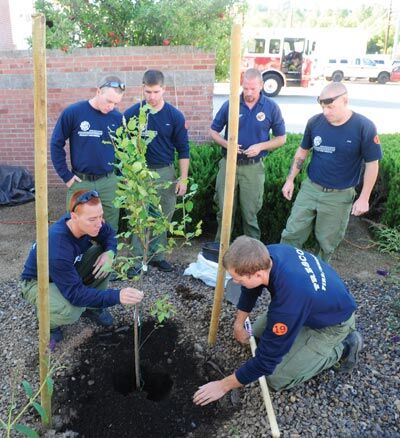 Prescott plants WTC Survivor Tree cutting to honor Hotshots | News ...