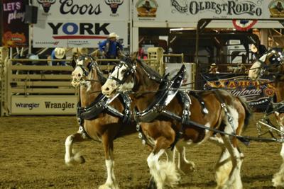 'World's Oldest Rodeo' results - after Day 2 - 2023 | Sports | dcourier.com