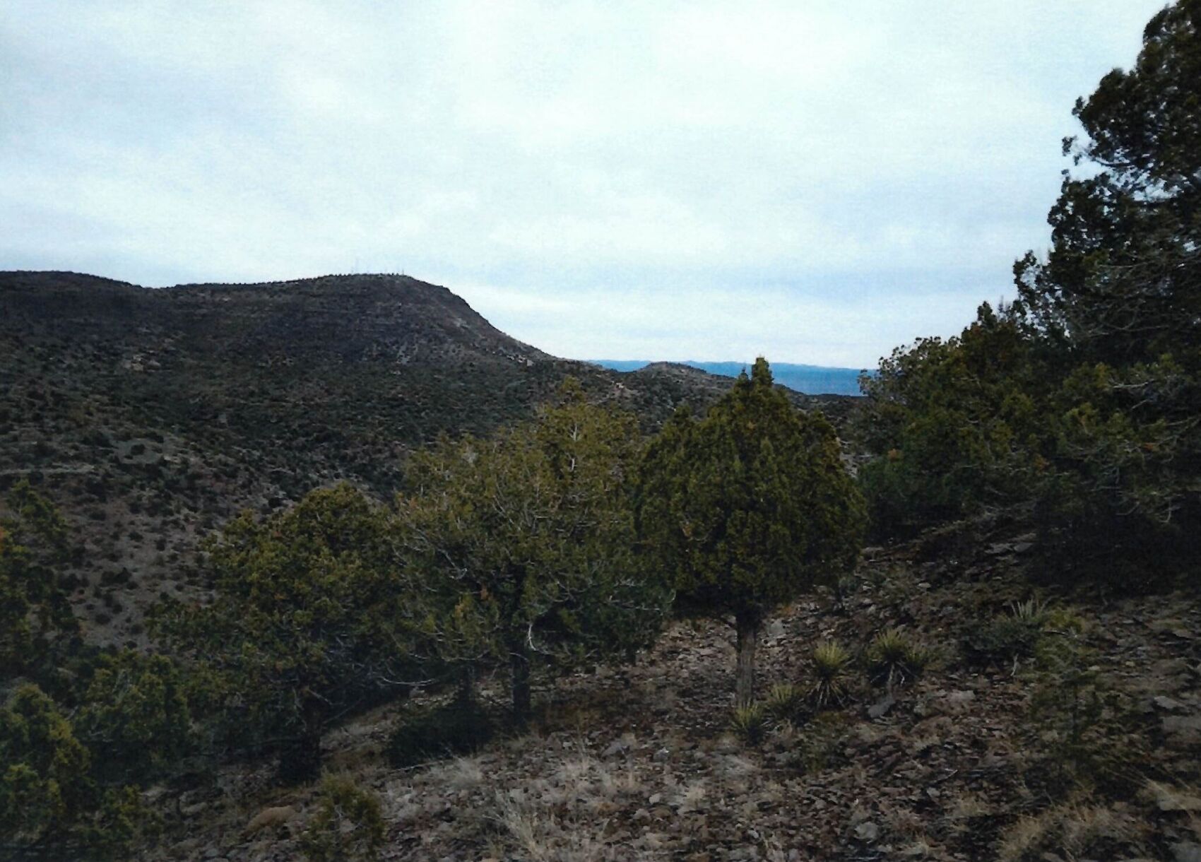 Hiking Arizona: Cedar Bench Wilderness on New Year’s Day | Sports ...