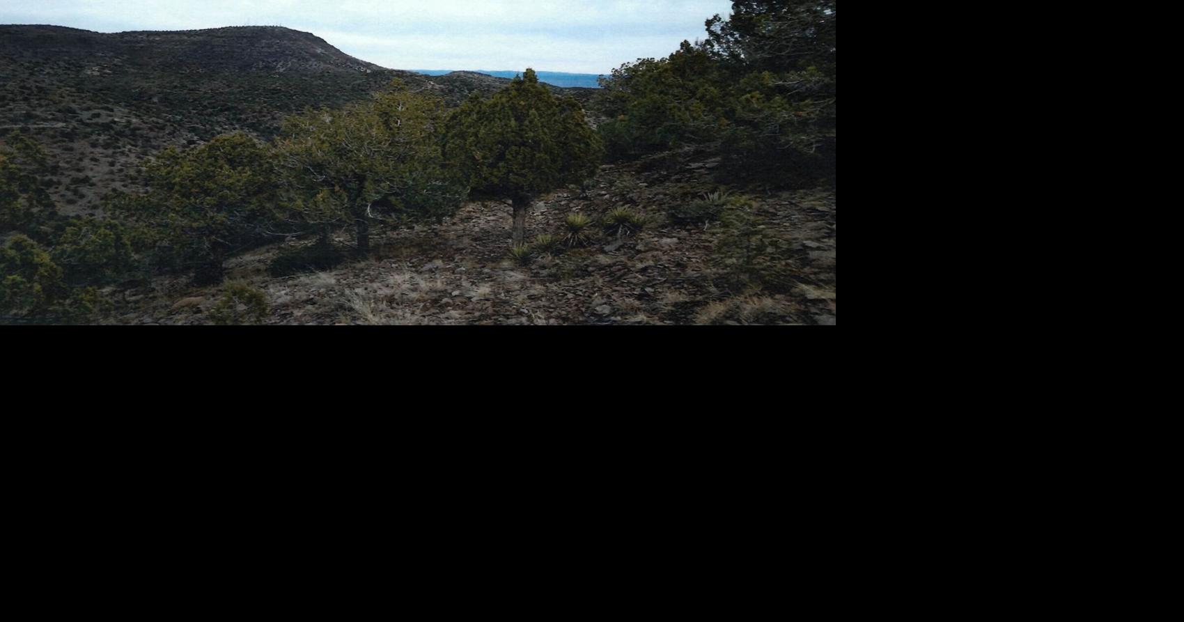 Hiking Arizona: Cedar Bench Wilderness on New Year’s Day | Sports ...